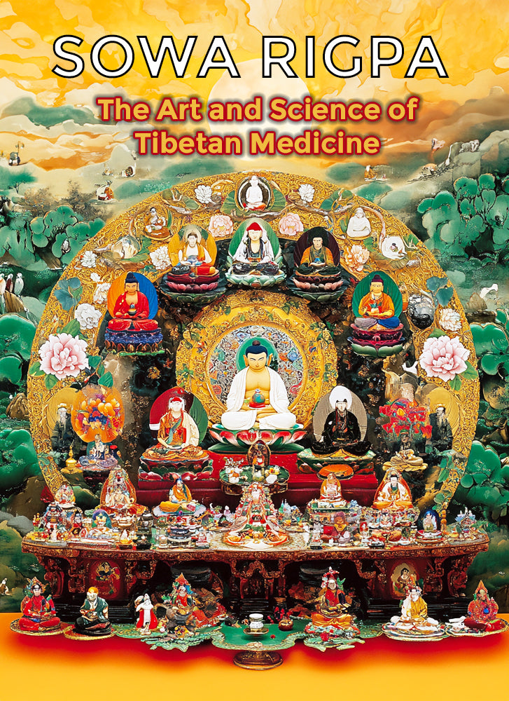 Sowa Rigpa: The Art and Science of Tibetan Medicine – Predicting My Future